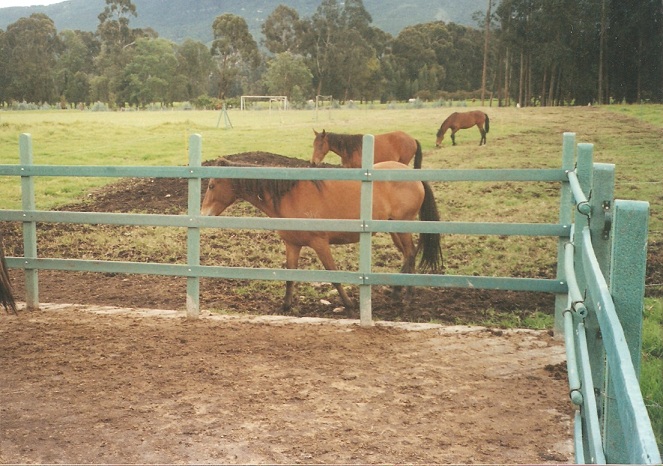 35 Ganaderías Tecnificadas potreros Postes Corral Saladero Comedero ...