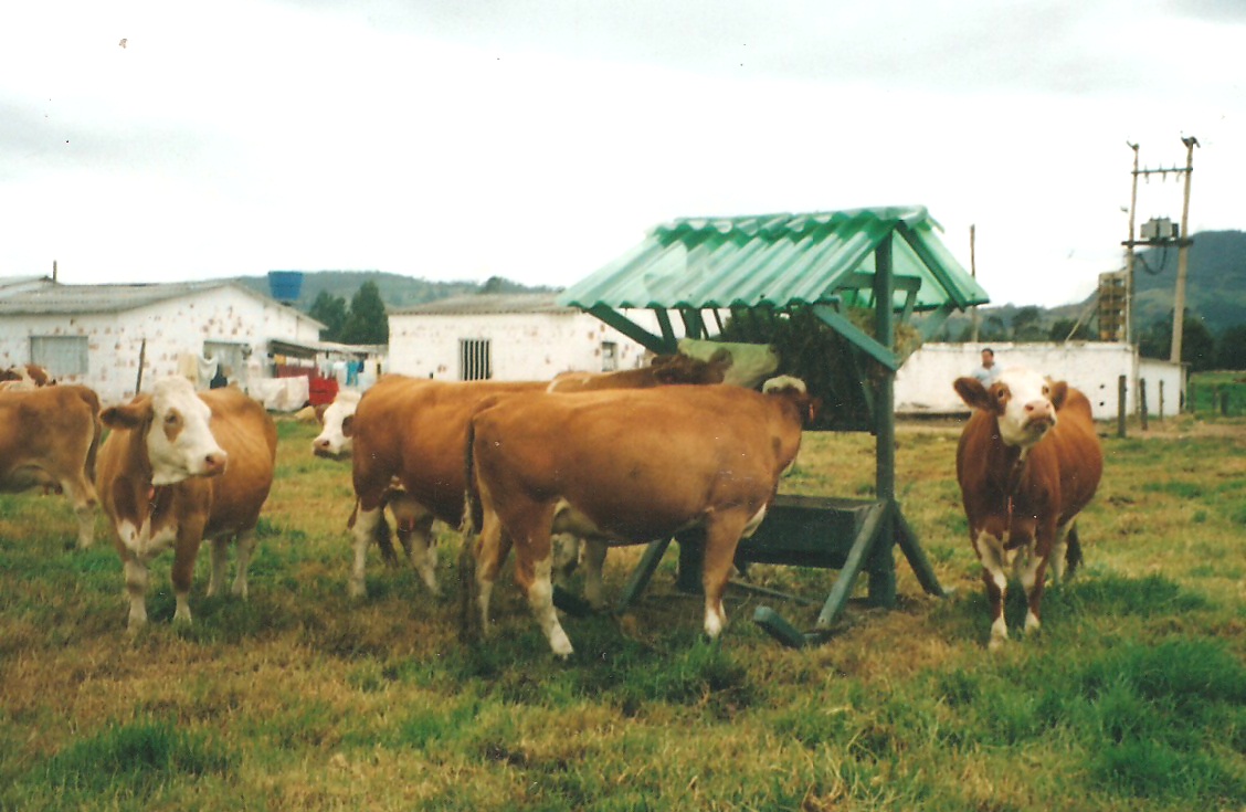35 Ganaderías Tecnificadas potreros Postes Corral Saladero Comedero ...