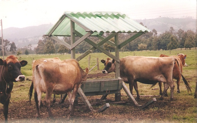 35 Ganaderías Tecnificadas Corral Saladero Comedero establo Postes