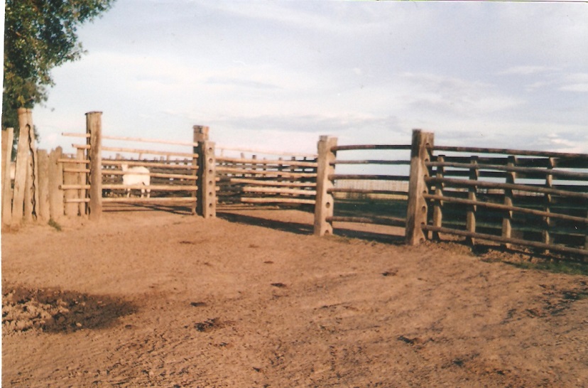 Corrales Establos Mangas coleo Caballerizas pesebreras Plaza toros ...